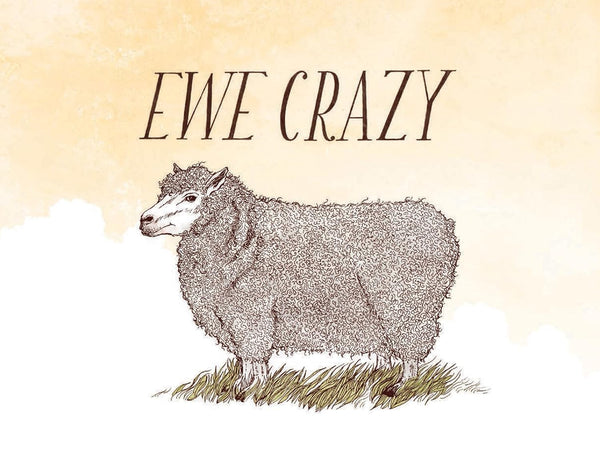 Have a Little Pun: An Illustrated Play on Words - Friends Of Cabrillo ...